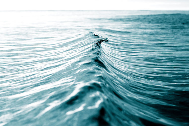 South Walton, Florida Through Photographer, Jonah Allen’s Lens - 79935