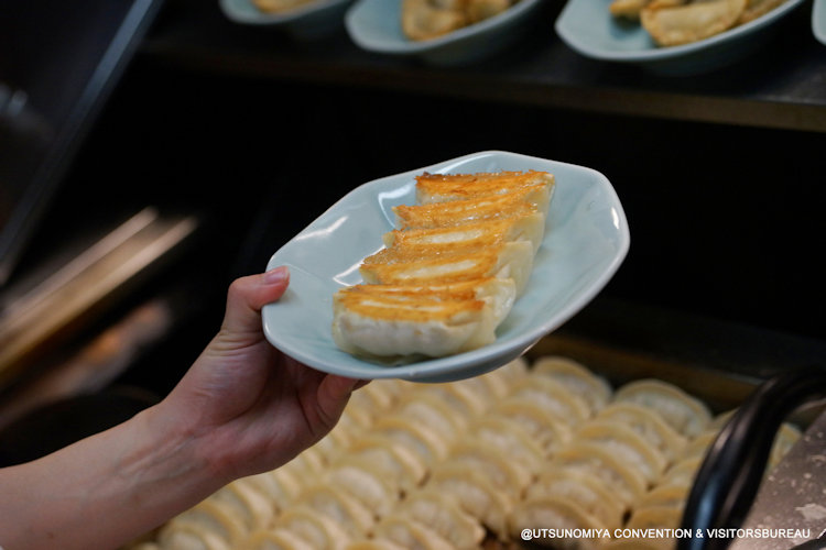 10 Things To Do in Tochigi, Japan